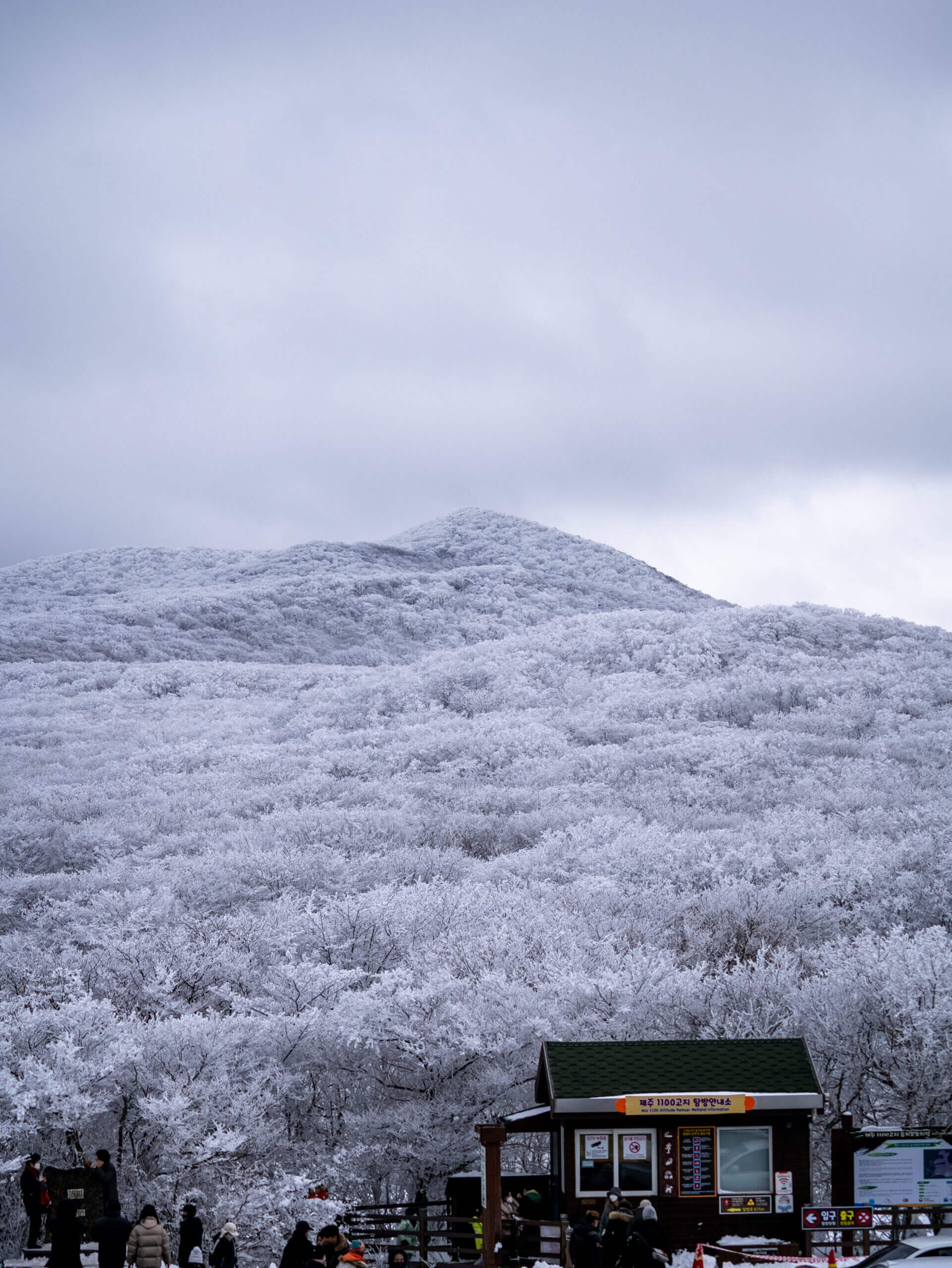 제주도 겨울여행 한라산 설경 추천 코스 - 방구석걸리버